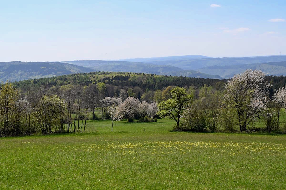 Katzenbuckel mit Aussichtsturm - Wanderung im Odenwald - People Abroad