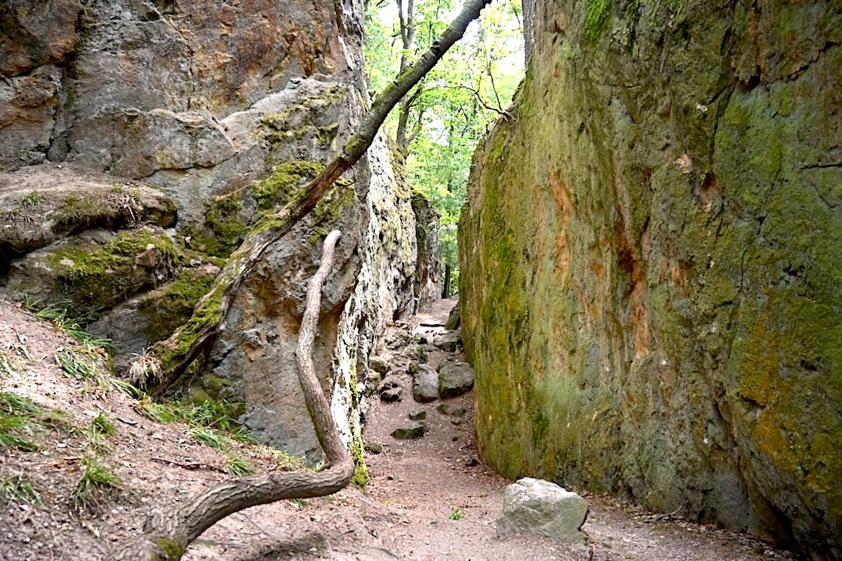 Spatschlucht Schriesheim - Wanderung und Rundweg - People Abroad