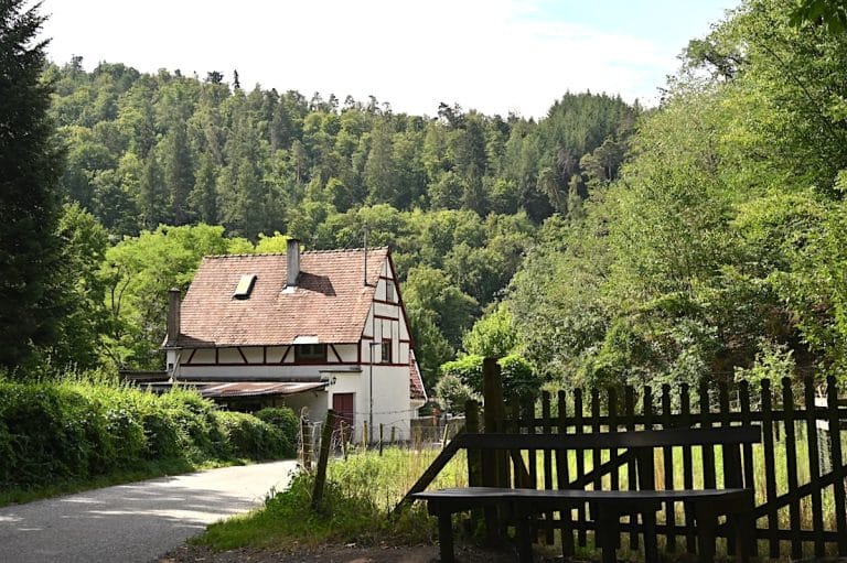 Spatschlucht Schriesheim - Wanderung und Rundweg - People Abroad