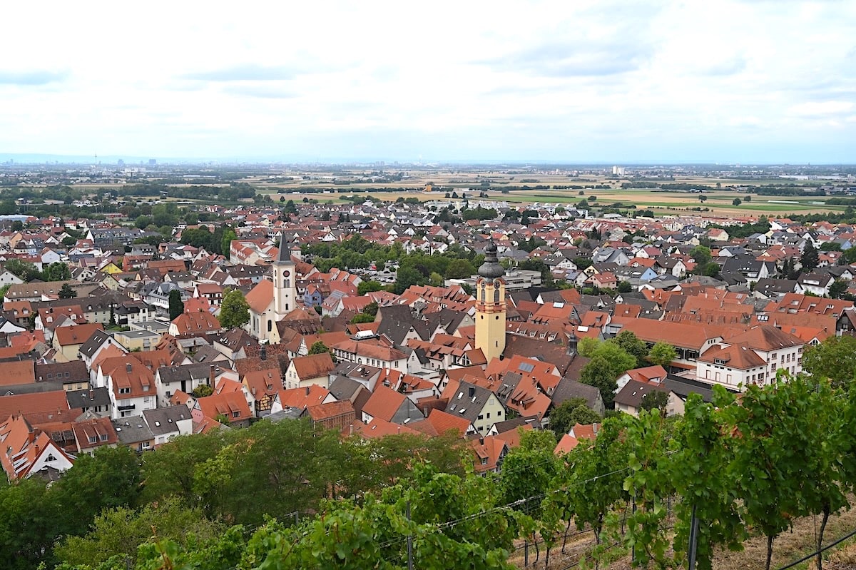 Spatschlucht Schriesheim - Wanderung und Rundweg - People Abroad