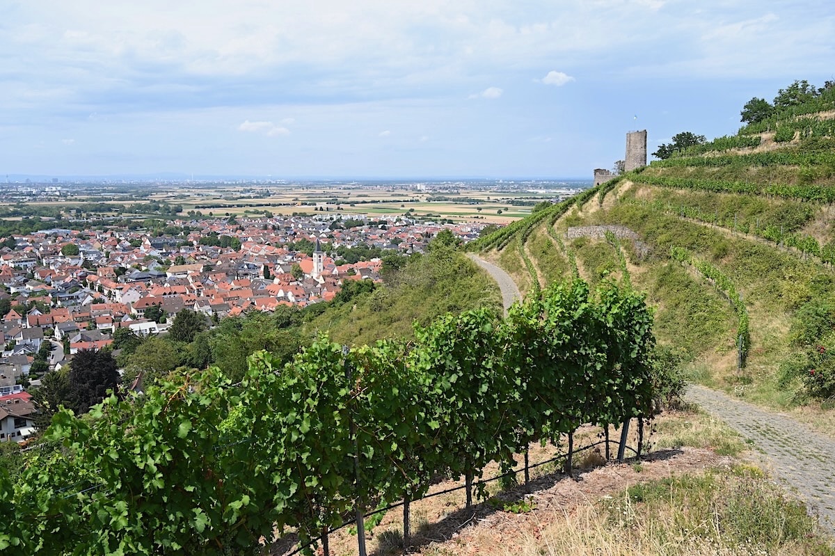 Spatschlucht Schriesheim - Wanderung und Rundweg - People Abroad