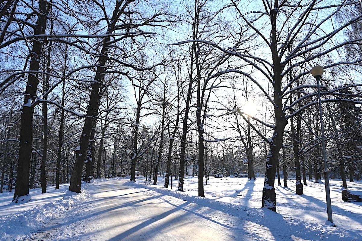 Helsinki im Winter: Highlights & Orte in der Natur entdecken - People ...