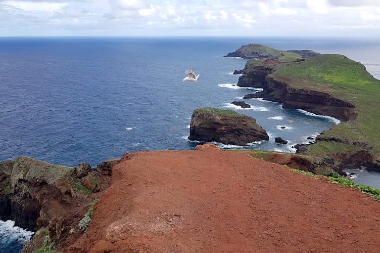 Madeira im Winter: 10 Tipps für die idyllische Insel - People Abroad