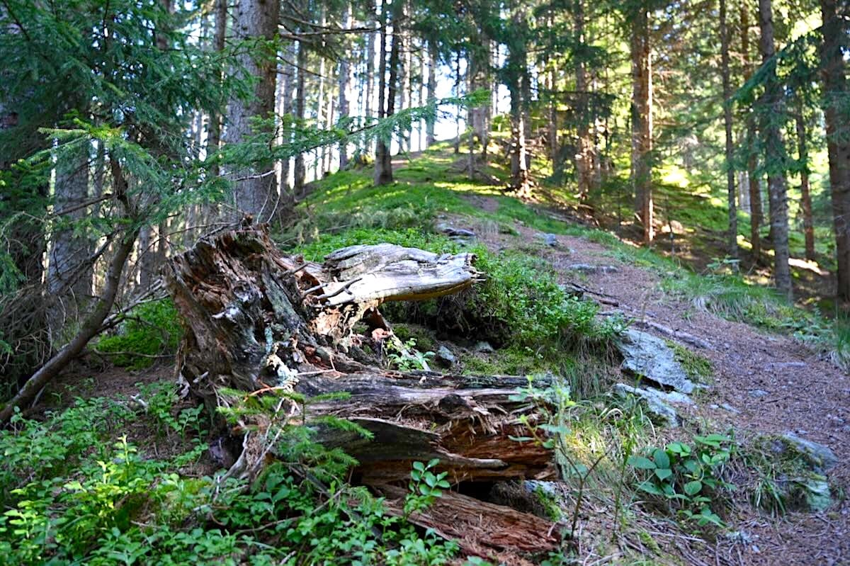 KAT Walk Alpin: Wandern in den Kitzbüheler Alpen - People Abroad