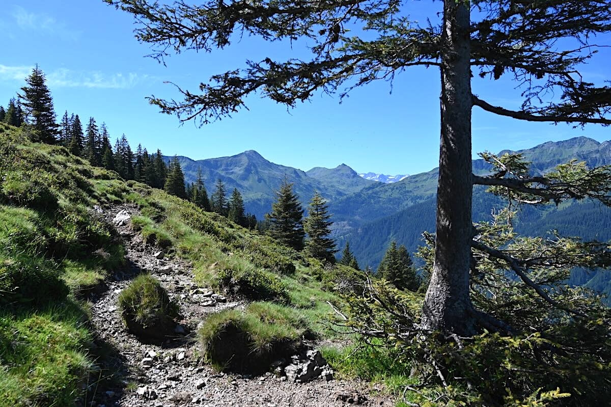 KAT Walk Alpin: Wandern in den Kitzbüheler Alpen - People Abroad