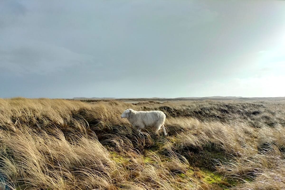 Sylt im Winter: 10 Tipps für die nordfriesische Insel - People Abroad